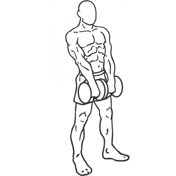 Standing Dumbbell Upright Row Standing Dumbbell Upright Row